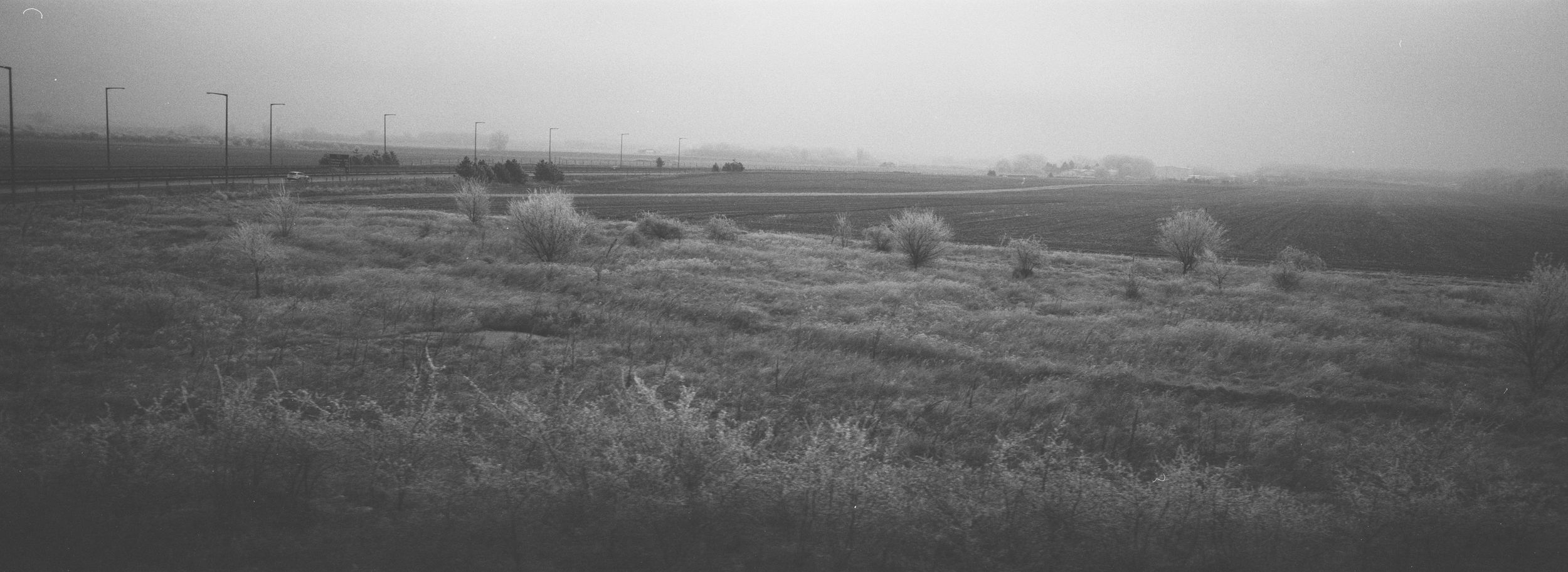 Kate Kobzar. Budapest