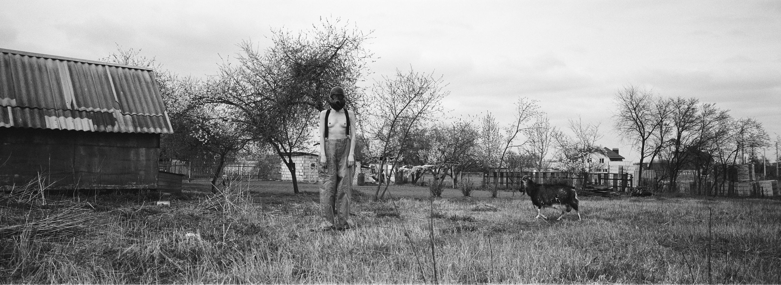 Isolation – Kate Kobzar